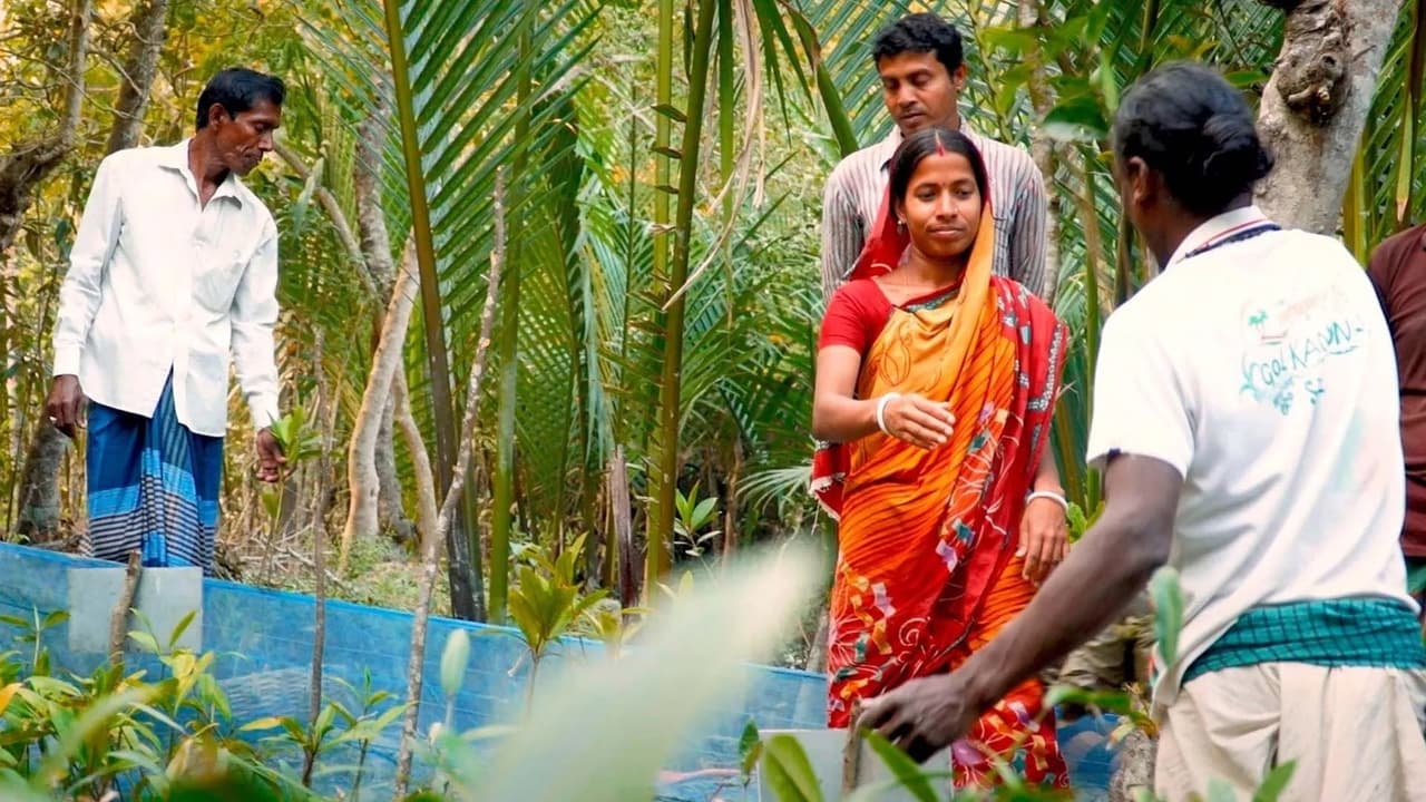 Watch Kühlung für die Erde - Wie holen wir das CO2 aus der Luft? Online ...